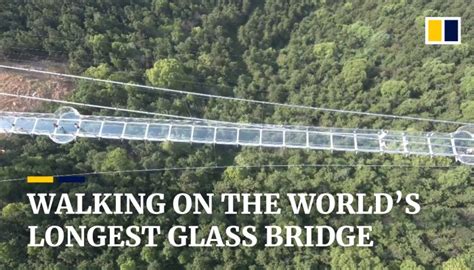 Walking In The Air Terrified Tourists Walk On Worlds Longest Glass