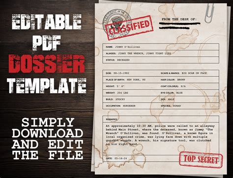 Editable Pdf Dossier Template Digital Download Customizable Top Secret