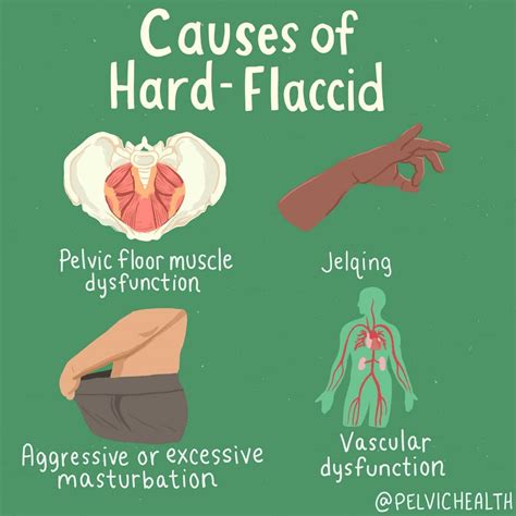 Hard Flaccid Causes Treatments And Symptoms