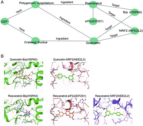 Molecular Docking A Docking Analysis Of Active Pharmaceutical
