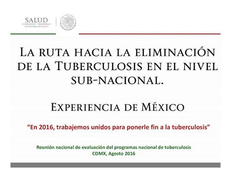 PDF La ruta hacia la eliminación de la Tuberculosis en el nivel sub