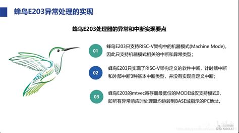 risc v学习之蜂鸟e203异常与中断 risc v e203 中断 csdn博客