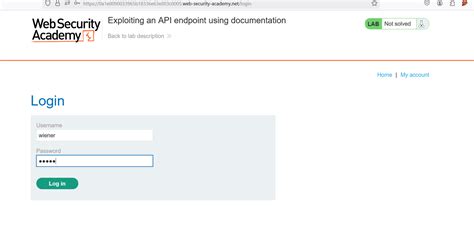 A Practical Guide To Api Security Testing With Burp Suite Securium