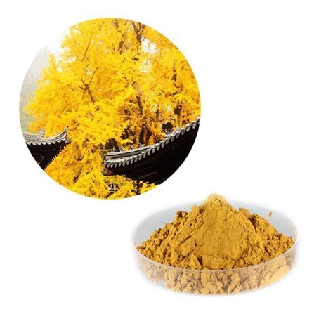 Ginkgo Biloba Extract 24 Flavonoids Glycosides 6 Terpene Lactones