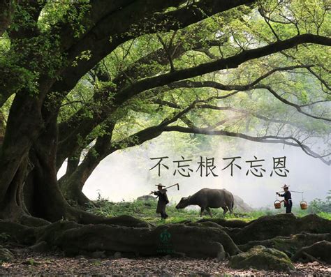 職場慧眼 張慧敏 Son姐 樹高萬丈不忘根，人若輝煌莫忘恩 人可以不認字，但不可以不認三種人 1