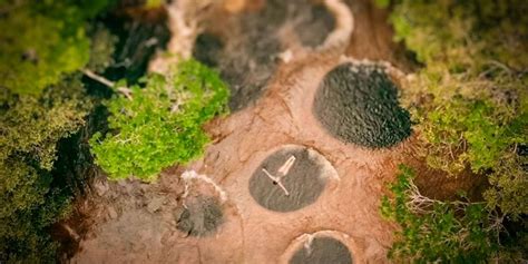 Buracos da Amazônia misteriosas formações no Rio Mutum Fatos