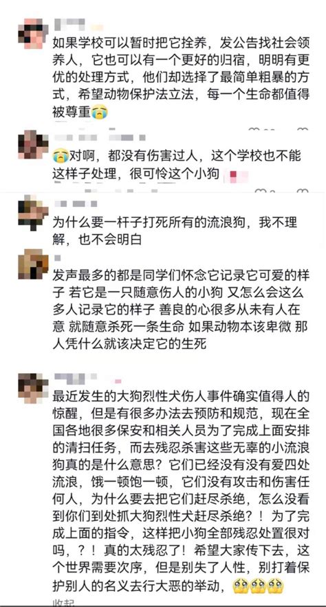 网传重庆一高校捕杀流浪狗 校方保安处置不当多位学生不理解校方做法 腾讯新闻