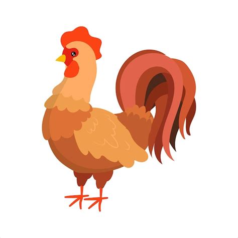 Premium Vector Cock Domestic Birds Cute Animal Livestock Animal
