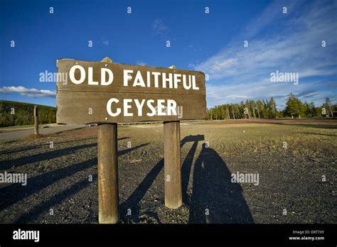 Old Faithful Geyser Wood Sign Famous Old Faithful Geyser In The