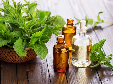 How To Detox Lungs After Smoking 13 Ways You Can Purify Your Lungs