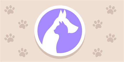 Why Your Pet Care Business Needs A Queue Management System Qminder
