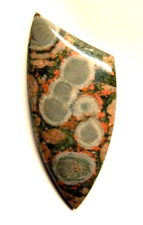 Rainforest Jasper Jasper Rainforest Music Instruments