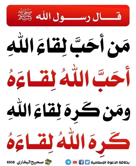 محمد حلمي Posted On Linkedin