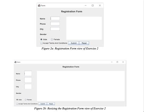 Solved Write The GUI Of A Java Application That Displays A Chegg