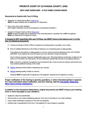 Fillable Online NEW CASE GUIDELINES E FILE NAME CHANGE MINOR Fax Email Print PdfFiller