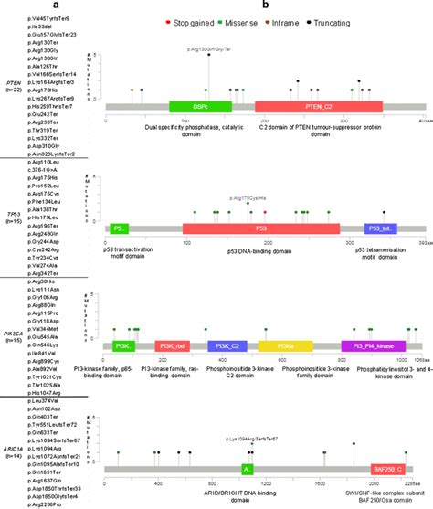 A List Of Somatic Mutations Identified In Pten Tp53 Pik3ca And