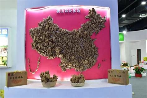 點讚！臨沂市沂水縣院東頭鎮農產品亮相第十屆蘭陵農博會 壹讀