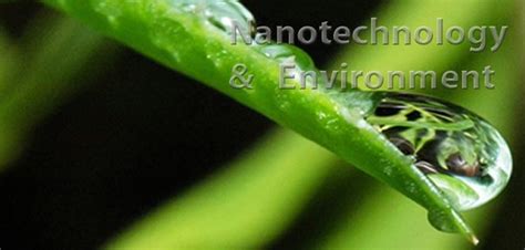 Nanotechnology In The Environment