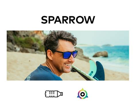 Sparrow Dragon Alliance