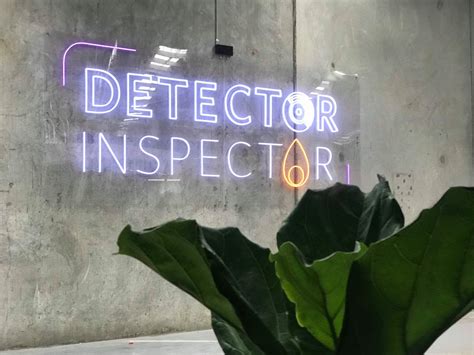 We Have Something Exciting To Tell Detector Inspector