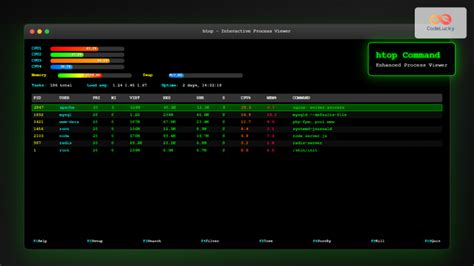 Bg Command In Linux Resume Jobs In Background With Examples Codelucky