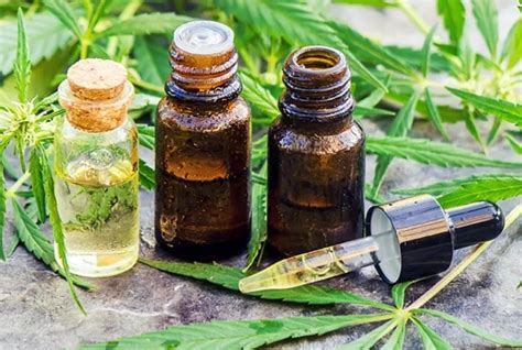 Rio Ganha Política De Fornecimento Gratuito De Medicamentos à Base De
