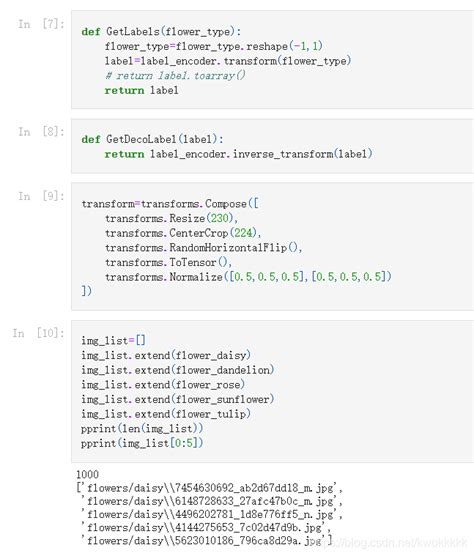 Pytorch Resnet花朵识别（5种花）附完整代码花卉识别代码 Csdn博客