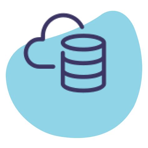 blueera softech software development company