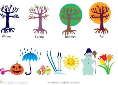 Explore The Life Cycle Of A Carrot Worksheets 99worksheets