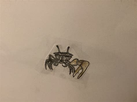 Mangrove Fiddler Crab By Styracoart On Deviantart