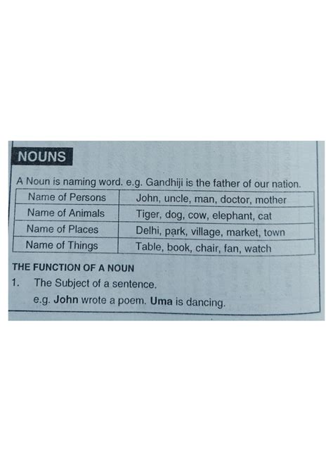 SOLUTION Nouns Types And Functions With Example Studypool