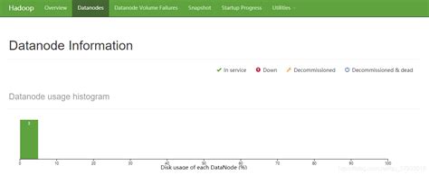 Hadoop详细文档四 Hadoop之hdfs安装详解附带详细讲解视频 Csdn博客
