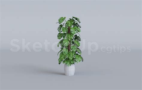 9688 Free Sketchup Plant Model Download