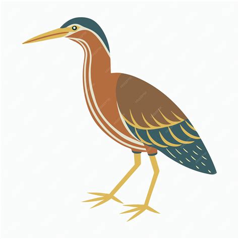 Vector Bittern Premium Ai Generated Vector