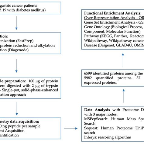 Schematic Representation Of The Proteomics Workflow For The Analysis Of Download Scientific