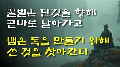 꿀벌은 단것을 향해 곧바로 날아가고 뱀은 독을 만들기 위해 쓴 것을 찾아간다 오디오북 명언 동기부여 삶의지혜 자기계발 인간관계 Youtube
