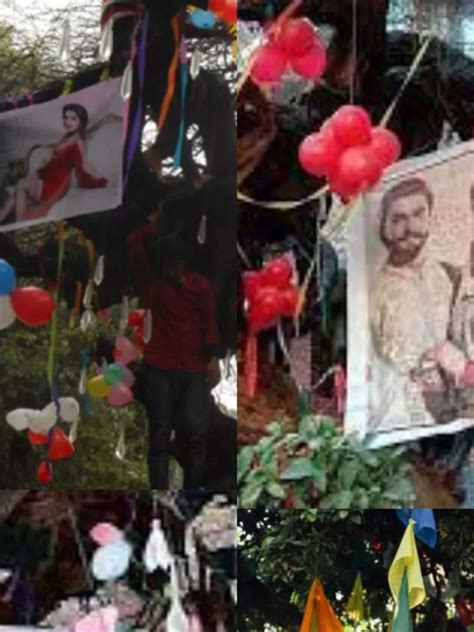 डीयू के इस कॉलेज में है वर्जिन ट्री गुब्बारे और कंडोम से होती है पूजा
