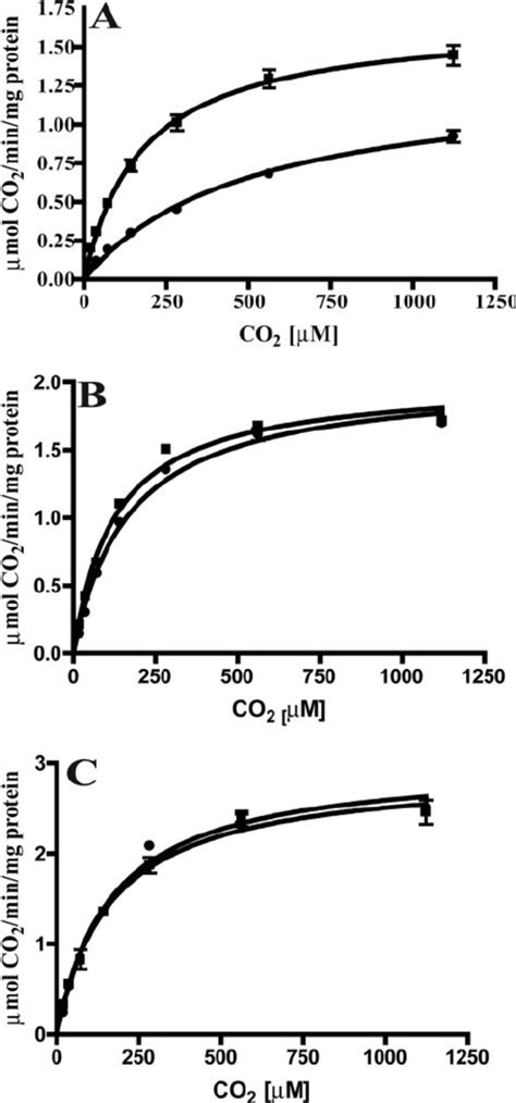 Co 2 Fixation By H Neapolitanus Wild Type And Csos3 Km Mutant