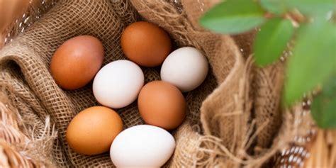 Types Of Edible Eggs Crate And Basket