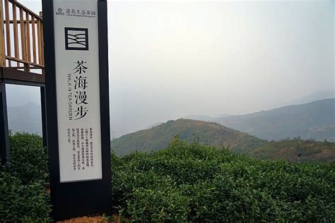 品陕南茶中国