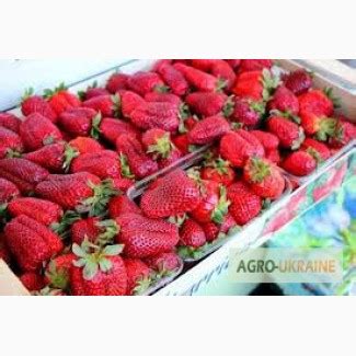 Картонный ящик купить для черешни, персика, клубники — Agro-Ukraine