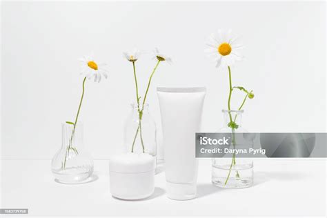 가로 이미지 흰색 모캡 튜브와 흰색 격리된 배경에 카모마일 추출물이 있는 보습 크림 병 아름다움의 개념 피부 관리를 위한 천연