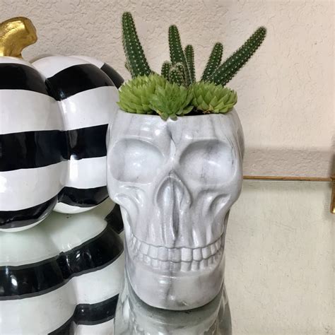 Skull Succulent Planters PS Home