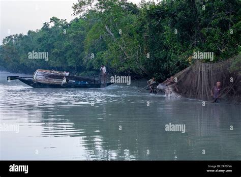 Sundarbans Bangladesh Fishermen In Sundarbans A Unesco World