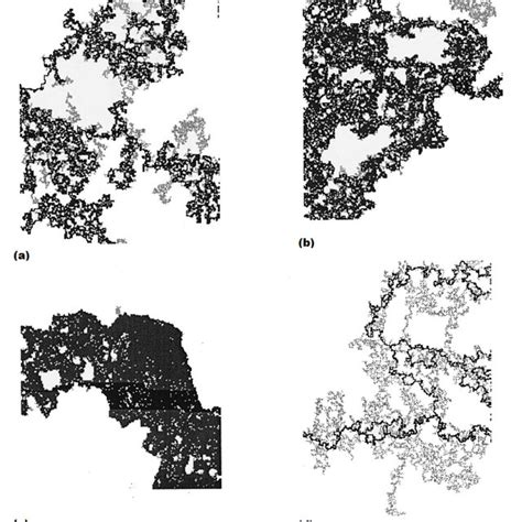 PDF Pore Network Simulation Of Drying Of Heterogeneous And Stratified Porous Media