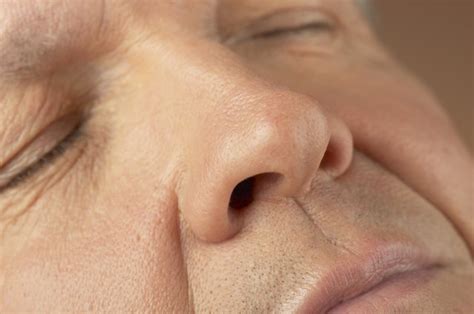 Why Does The Nose Get Oily Livestrong