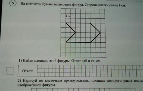 на клетчатой бумаге нарисована фигура Сторона клетки равна 1 см 1 Найди площадь этой фигуры