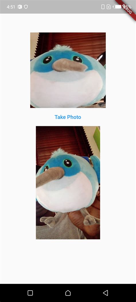 using the camera in flutter a step by step guide waldo blog