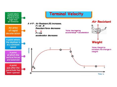 Terminal Velocity Labelled Diagram