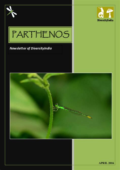 Pdf Dragonflyindia A Vibrant Community Of Odonata Lovers From Indian Subcontinent